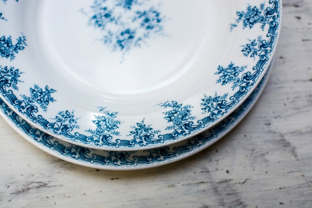 Set of 2 Vintage Serving Plates | Blue and White Cottagecore Style - Etsy