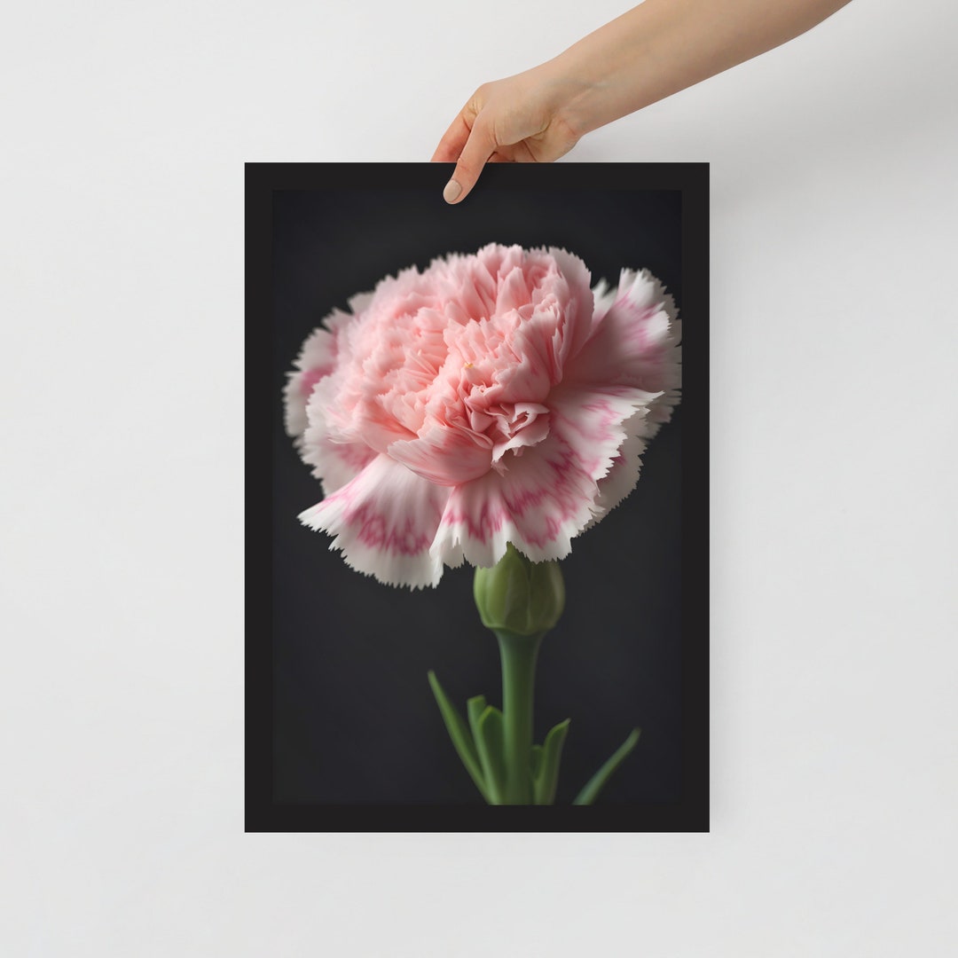 Pink Carnation - Instant Download - Printable Art Picture/poster of a ...