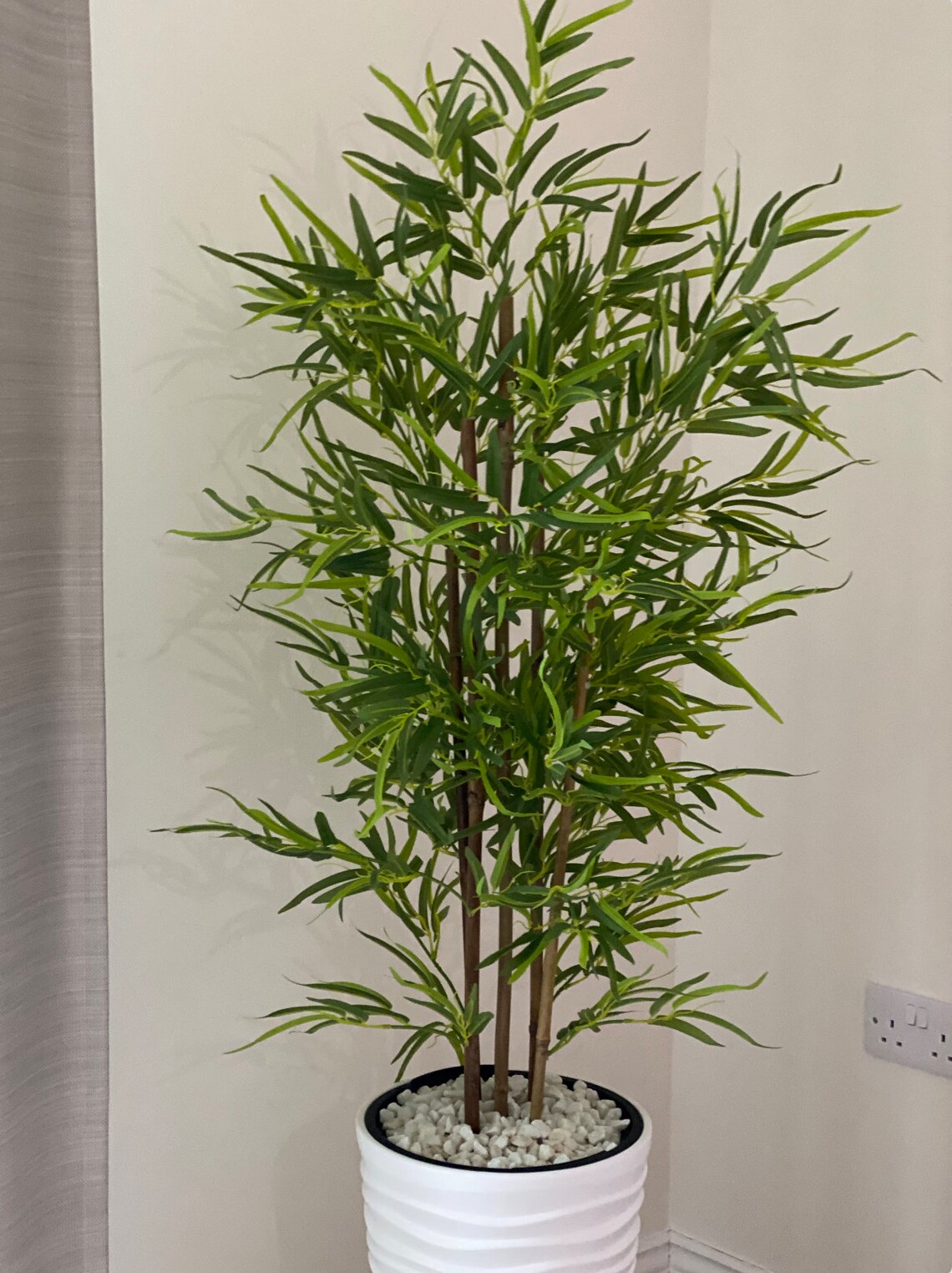 Artificial Realistic Bamboo Tree With Natural Trunks in the White ...