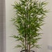 Artificial Realistic Bamboo Tree With Natural Trunks in the White ...