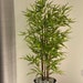 Artificial Realistic Bamboo Tree With Natural Trunks in the White ...