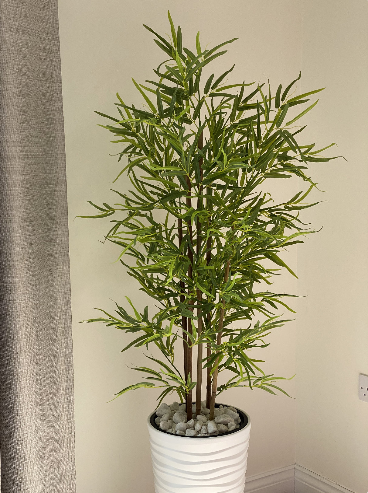 Artificial Realistic Bamboo Tree With Natural Trunks in the White ...