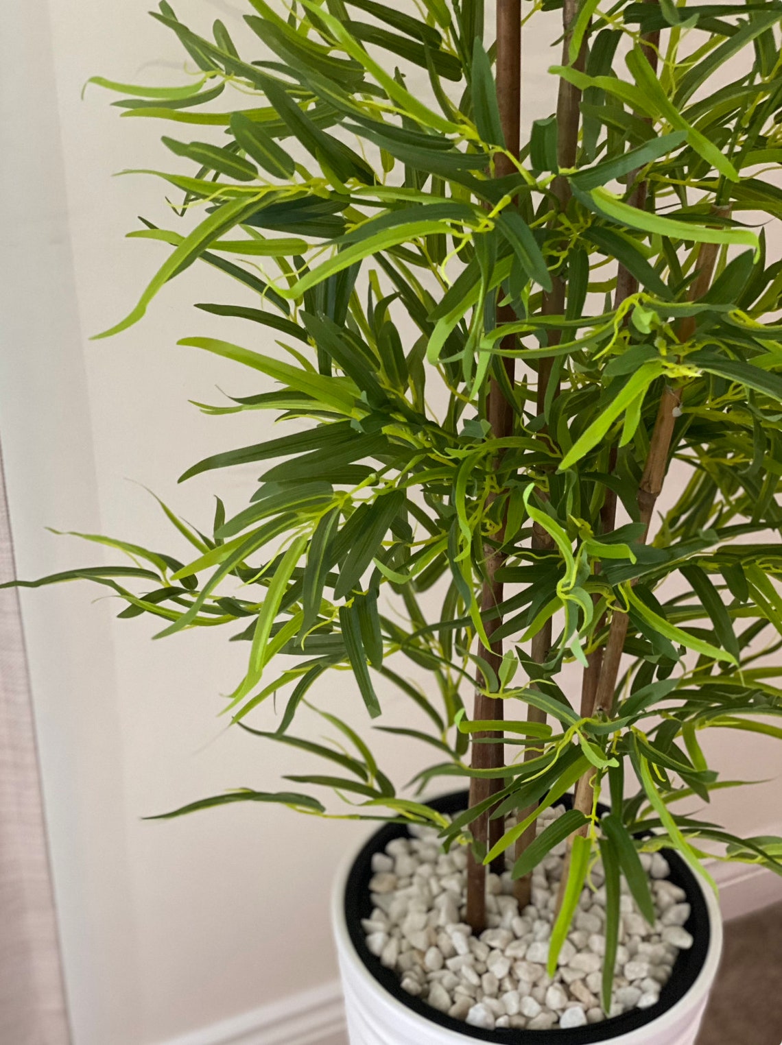 Artificial Realistic Bamboo Tree With Natural Trunks in the White ...