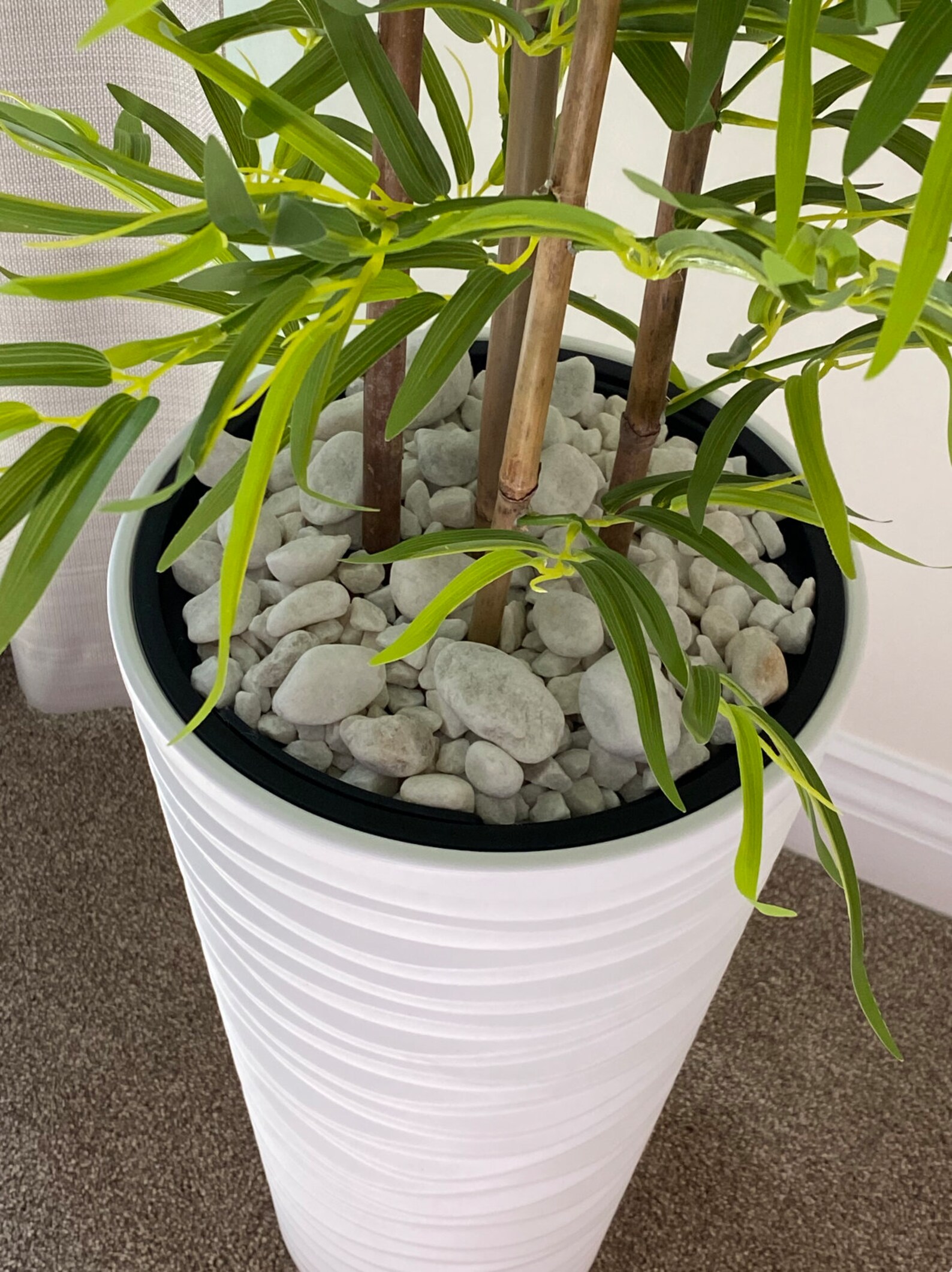 Artificial Realistic Bamboo Tree With Natural Trunks in the White ...