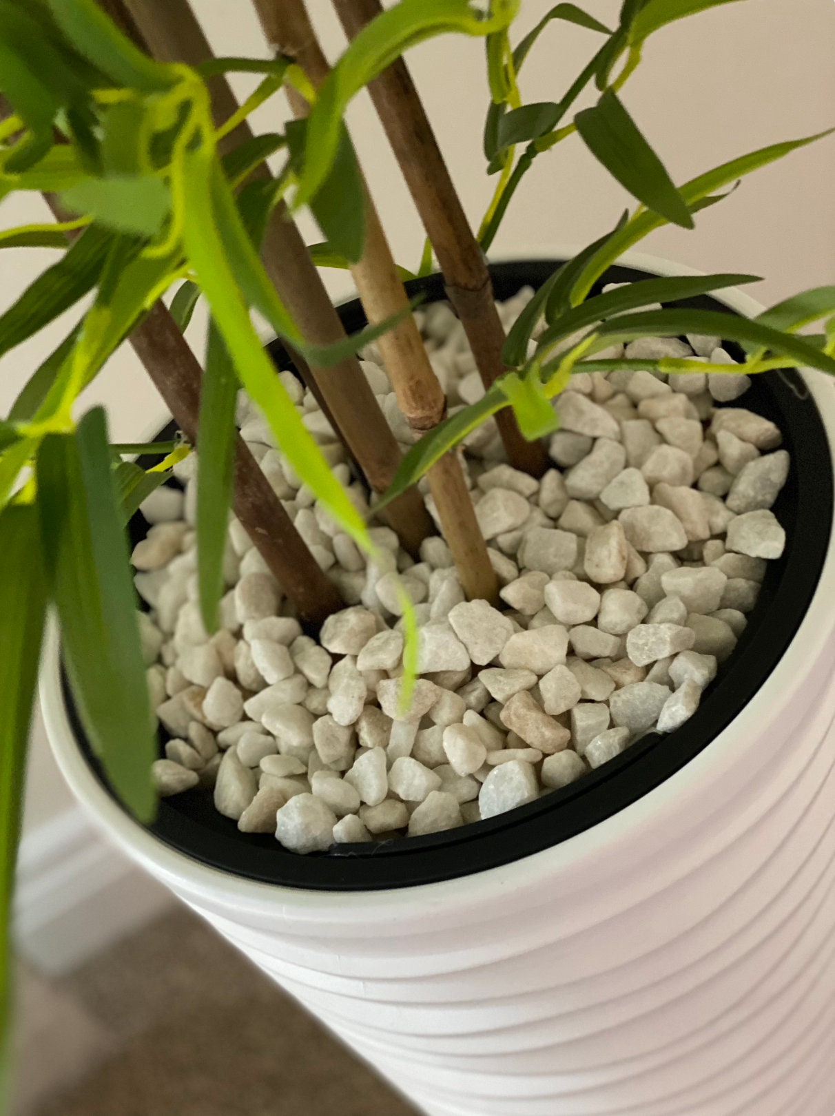 Artificial Realistic Bamboo Tree With Natural Trunks in the White ...