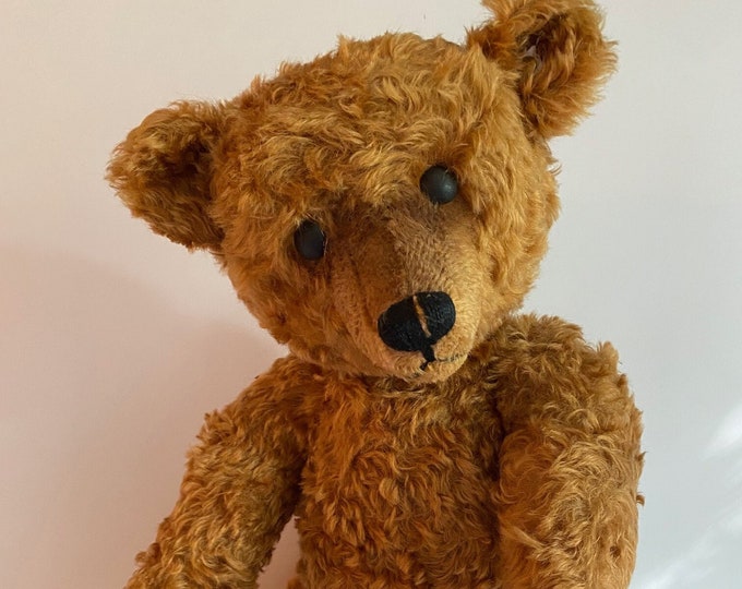 Steiff Large Size Cinnamon Teddy Bear - Fully Articulated - Etsy