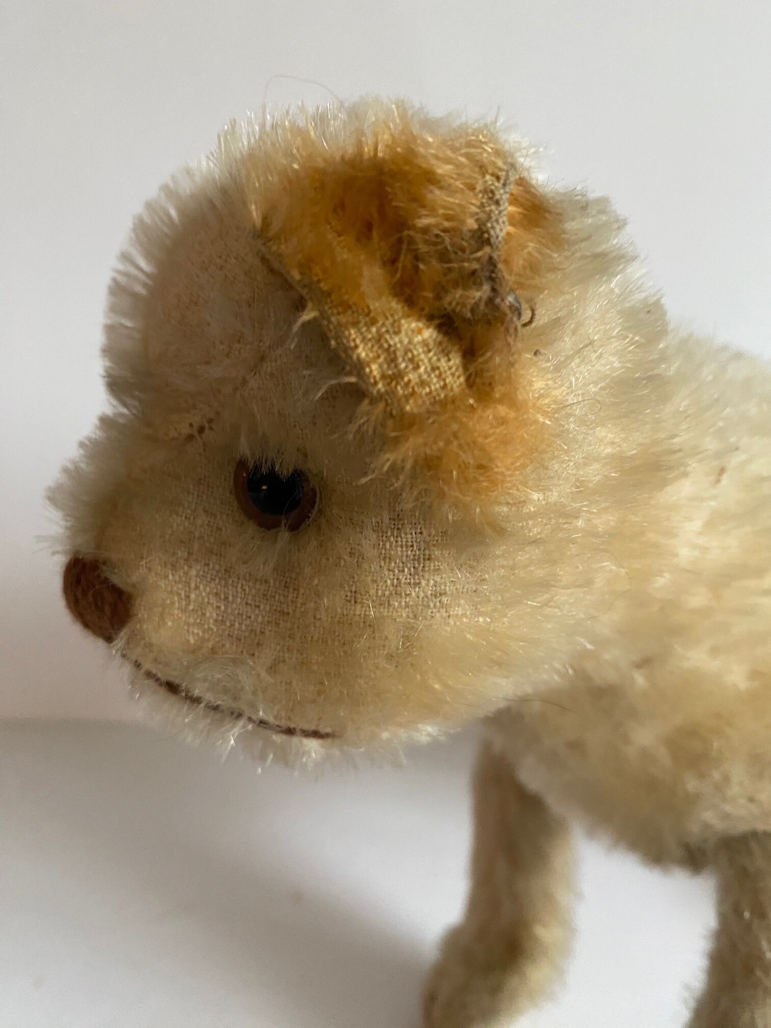 Early Steiff 1920's Spot Eye Dog / Pup on All 4's With FF Button - Etsy