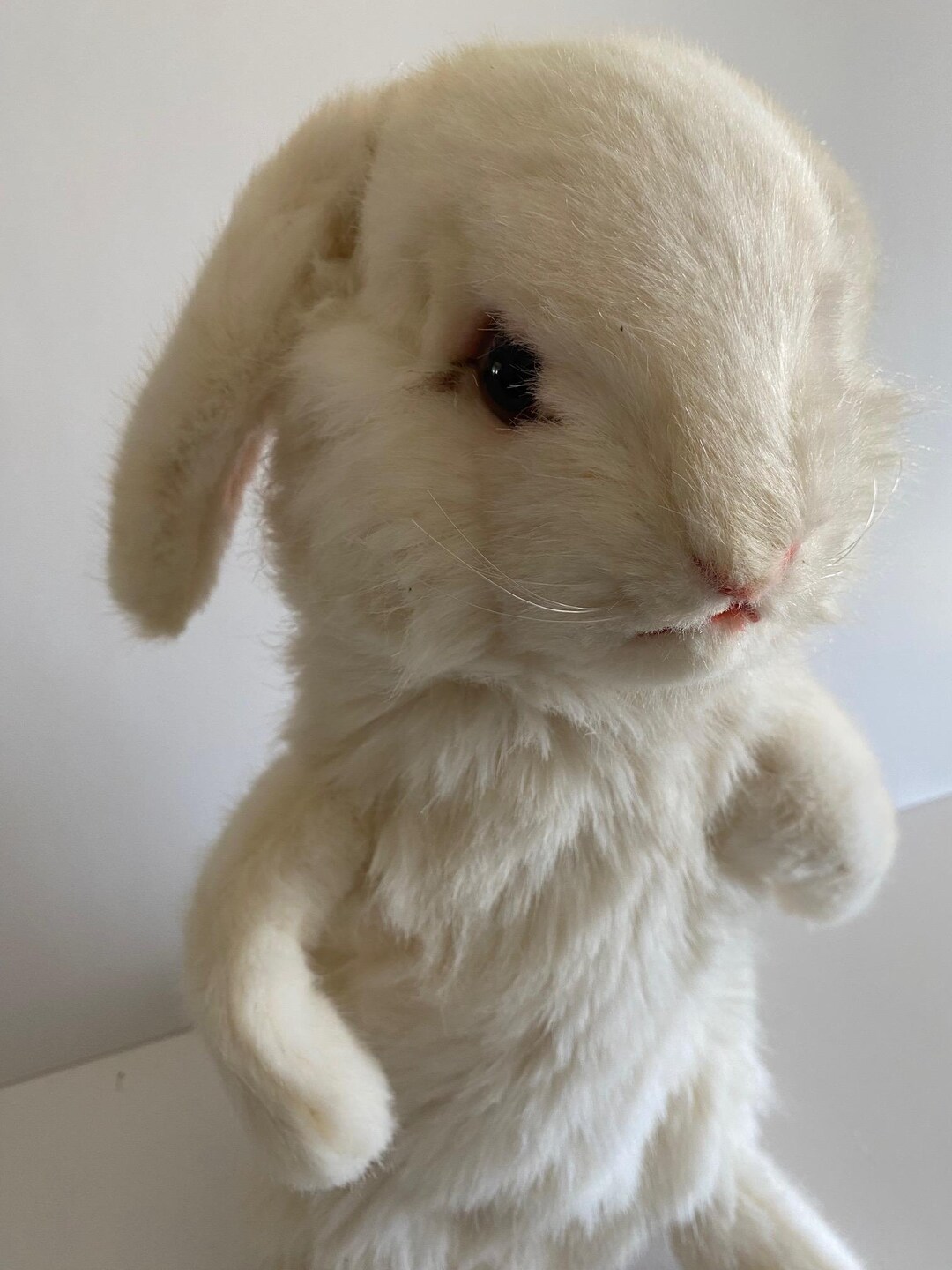 Steiff White Jolly Hase Rabbit Plush Handpuppet With Button and Tag - Etsy