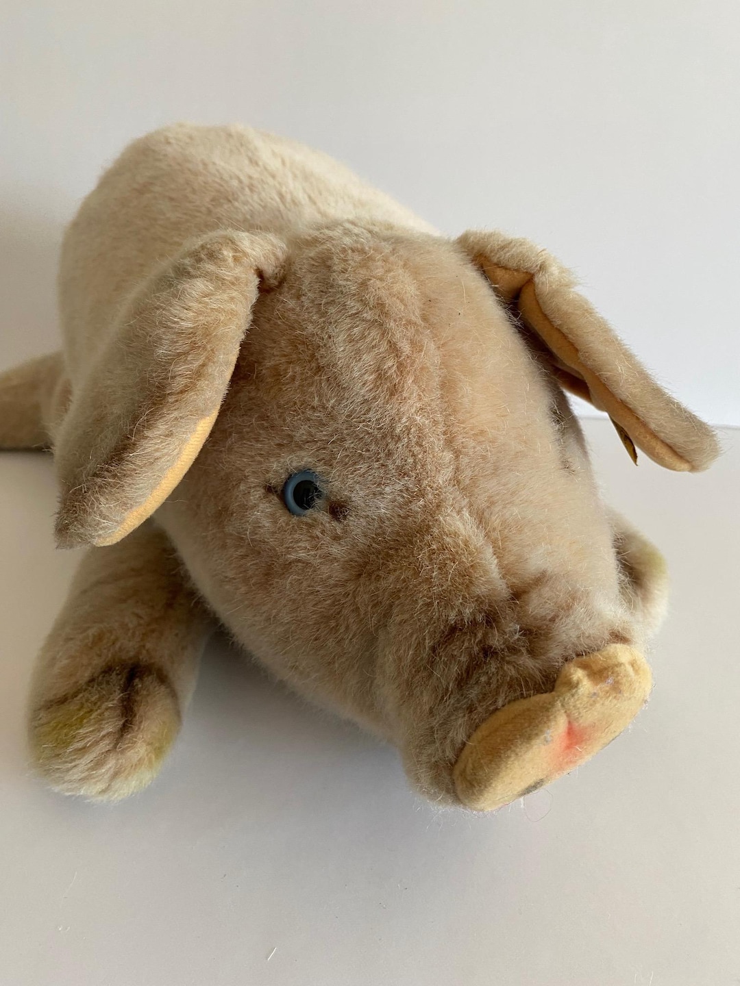 Steiff Oversize Blue Eyed Pig With Tag and Button - Made in Germany - Etsy