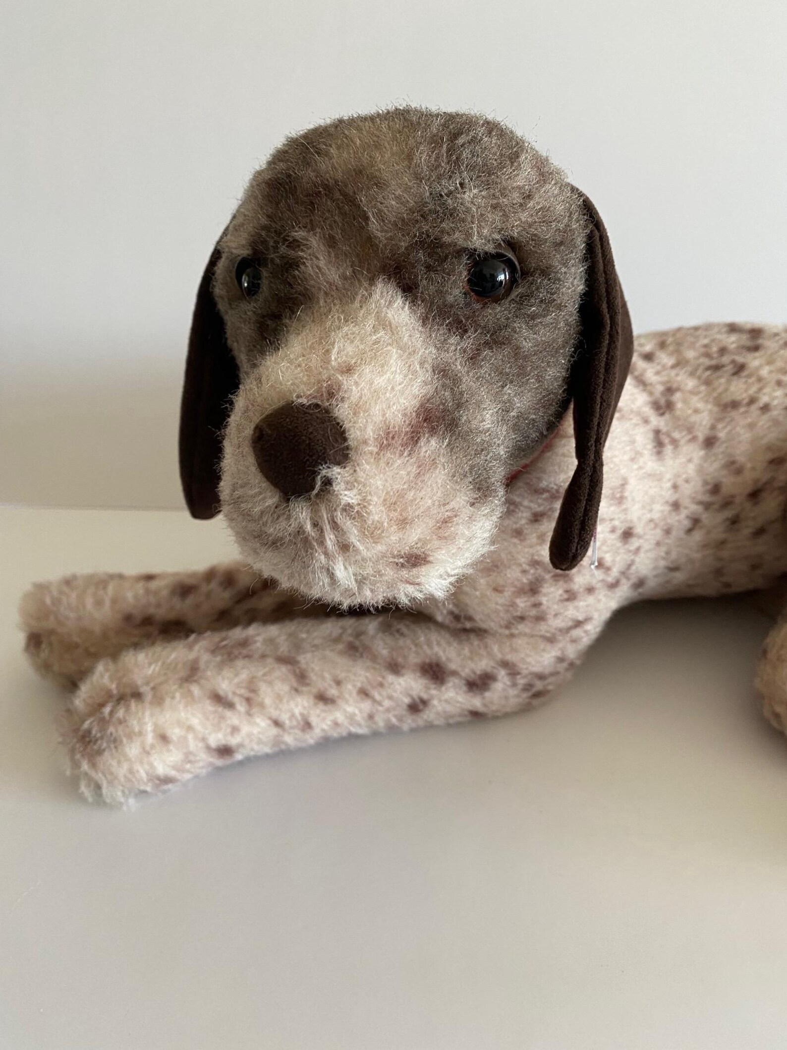 Steiff AKC Dog Plush German Shorthaired Pointer FAO Schwarz Realistic ...