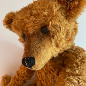 Steiff Large Size Cinnamon Teddy Bear Fully Articulated - Etsy