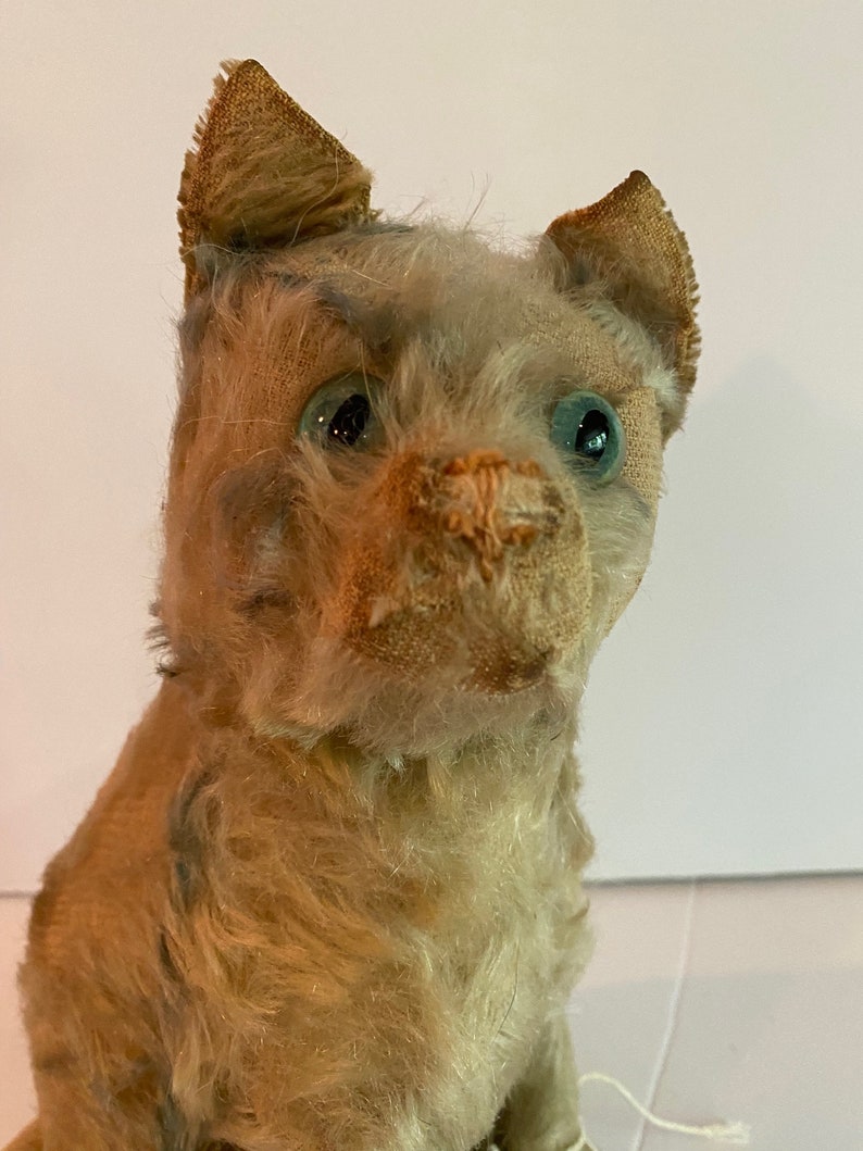 Steiff 1920's Fluffy Cat With Remnants of Blue Mohair - Made in Germany ...