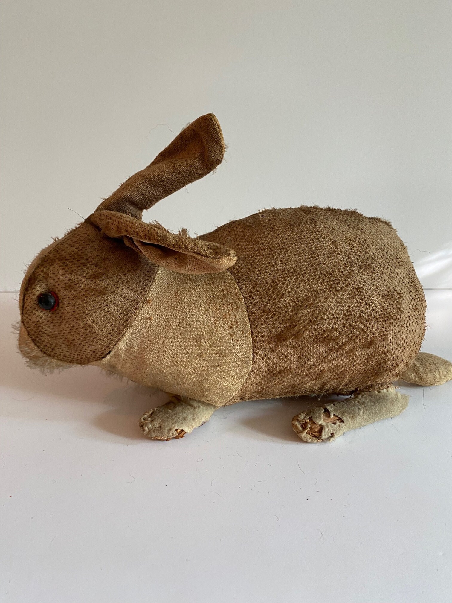 Very Early but Worn Steiff Holland Rabbit Brown and White With Ff ...
