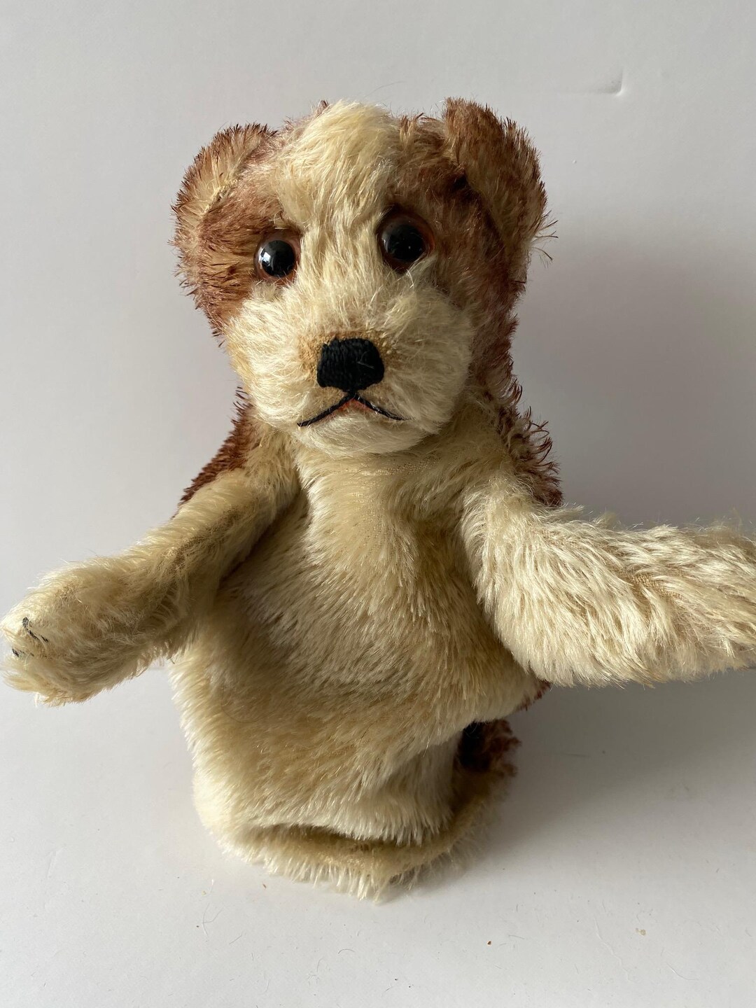 Steiff 1950's Molly Dog Hand Puppet With Glass Eyes, Great Face Made in ...