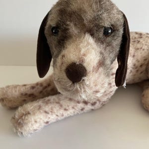 Steiff AKC Dog Plush German Shorthaired Pointer FAO Schwarz Realistic ...