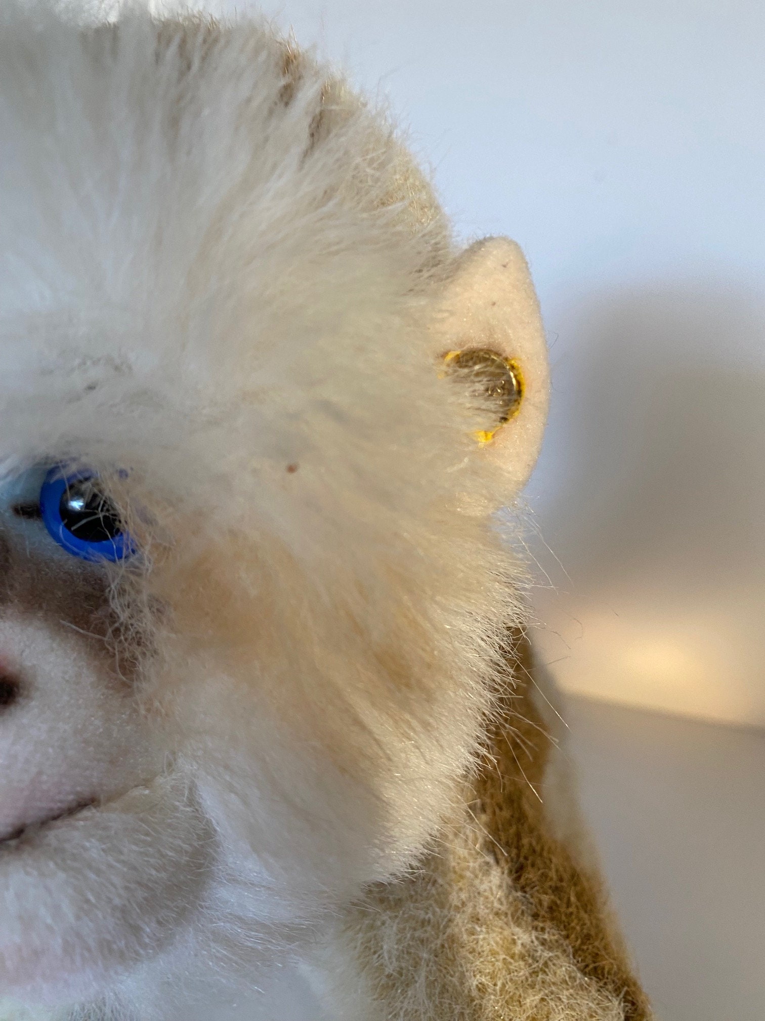 Vintage Steiff Mungo Monkey Super Cute With Big Blue Eyes - Etsy