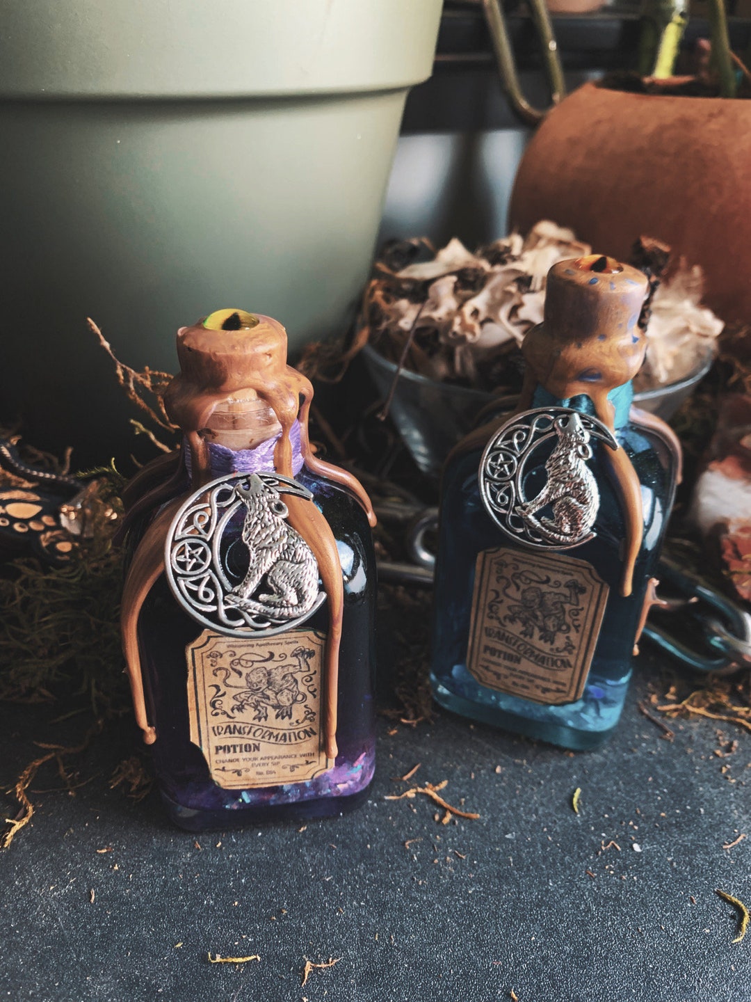 Potion Transformation, Wolf, Wolf, Witch, Wizard, Witch, Halloween ...