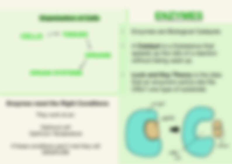 GCSE Biology Topic 2 Revision Notes Organisation - Etsy
