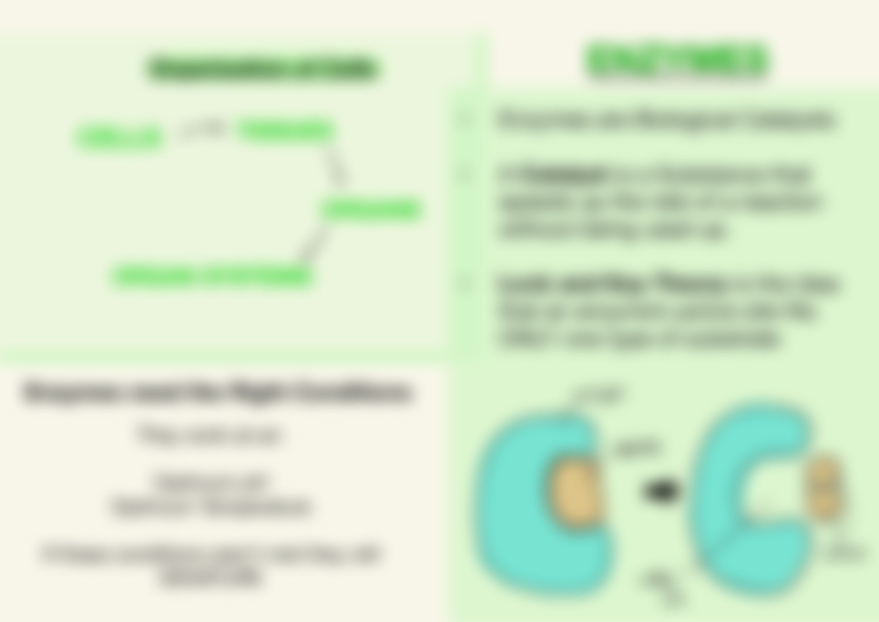 GCSE Biology Topic 2 Revision Notes Organisation - Etsy