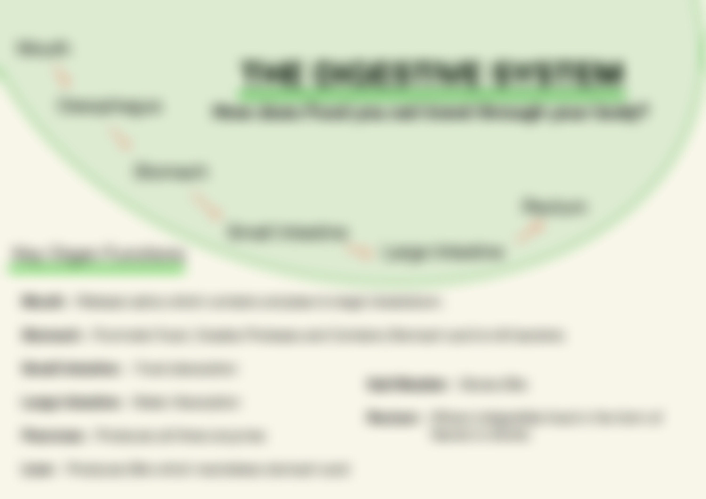 GCSE Biology Topic 2 Revision Notes Organisation - Etsy