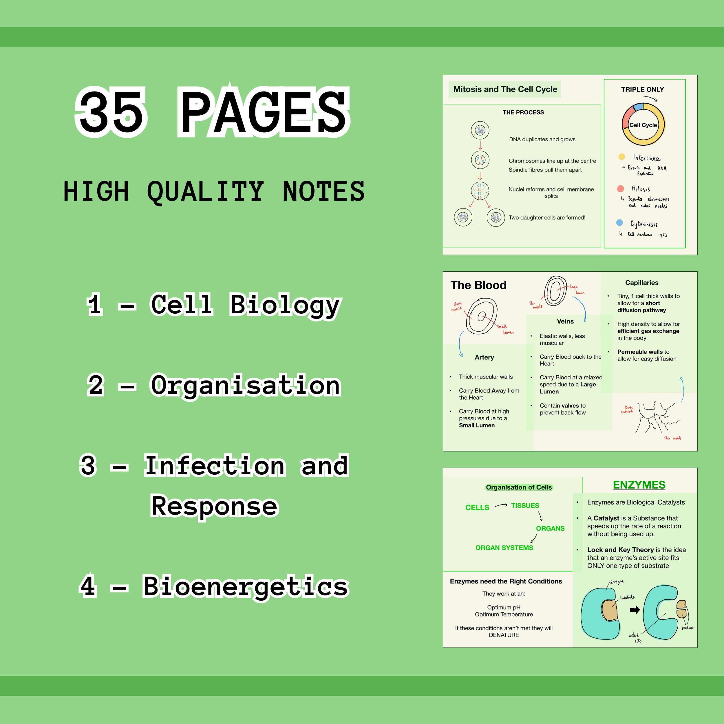 AQA GCSE Biology Paper 1 - Revision Notes (35 Pages Topics 1-4) - Etsy UK