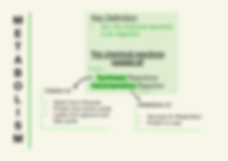 GCSE Biology Topic 4 Revision Notes Bioenergetics - Etsy