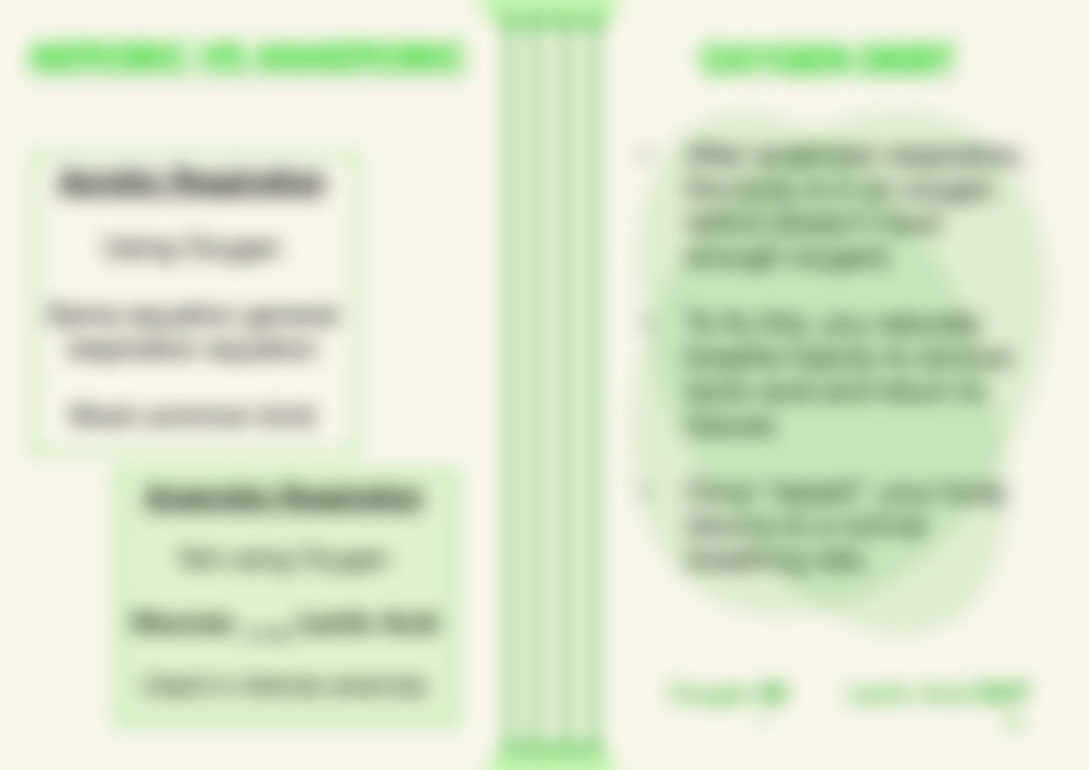 GCSE Biology Topic 4 Revision Notes Bioenergetics - Etsy