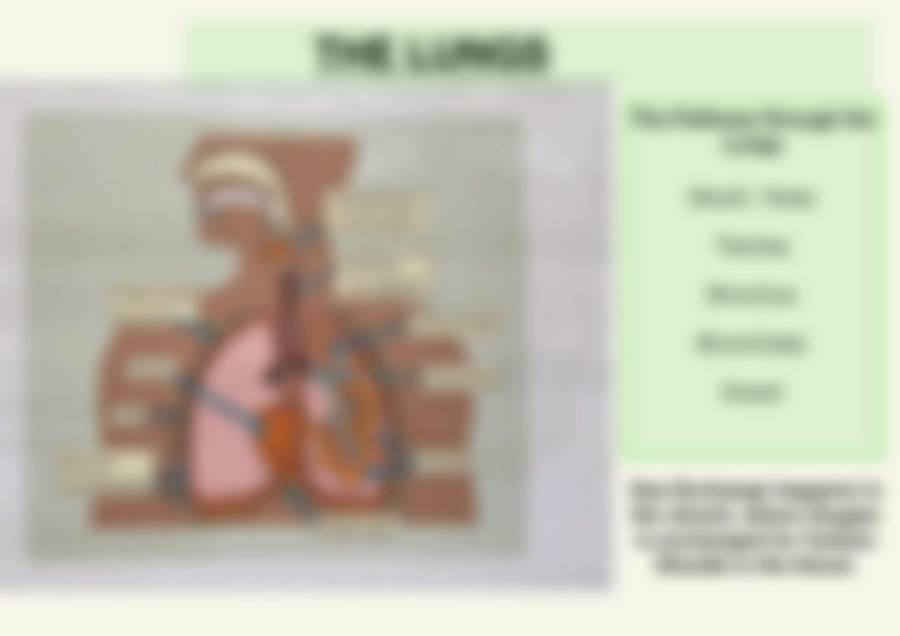 GCSE Biology Topic 2 Revision Notes Organisation - Etsy