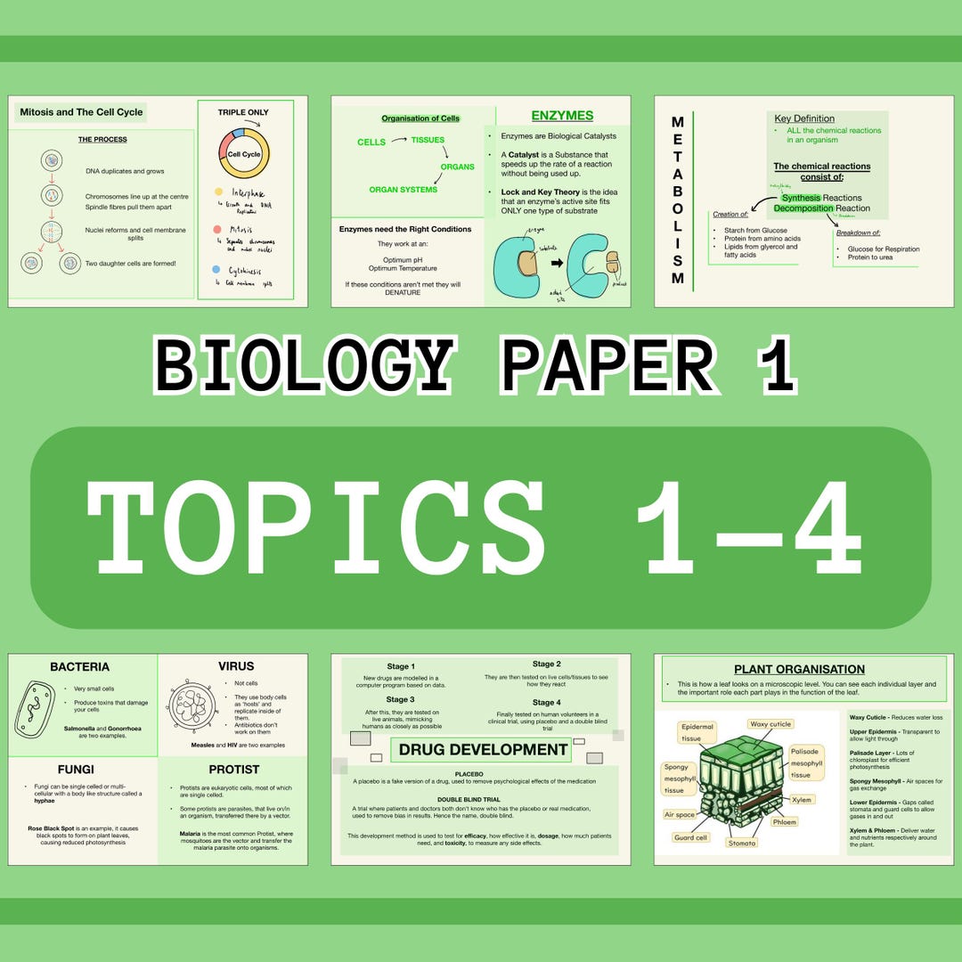 AQA GCSE Biology Paper 1 Revision Notes 35 Pages Topics 1-4 - Etsy