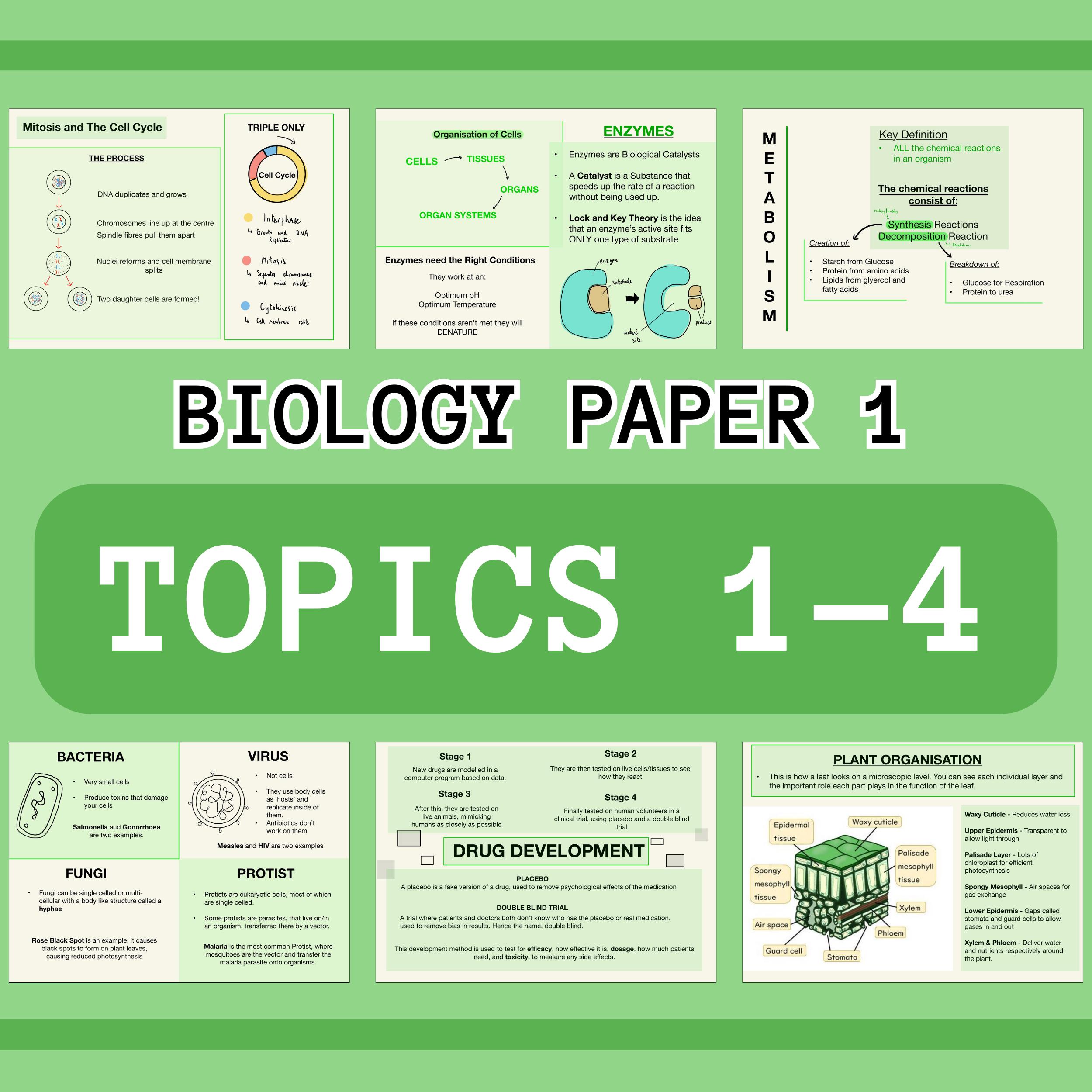 AQA GCSE Biology Paper 1 - Revision Notes (35 Pages Topics 1-4) - Etsy