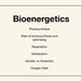 GCSE Biology Topic 4 Revision Notes Bioenergetics - Etsy