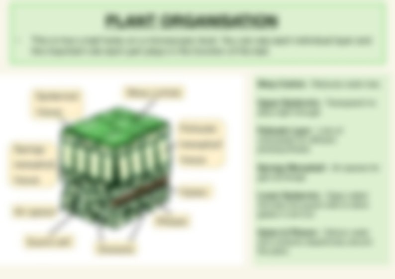 GCSE Biology Topic 2 Revision Notes Organisation - Etsy