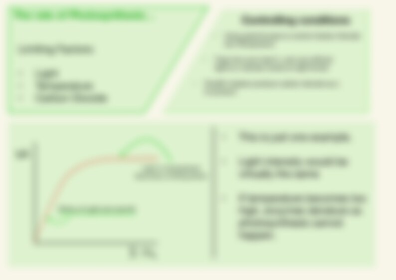 GCSE Biology Topic 4 Revision Notes Bioenergetics - Etsy