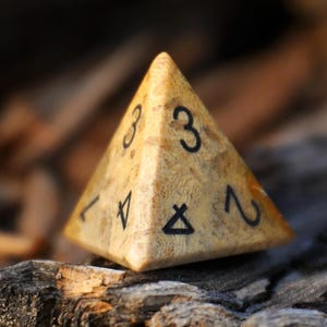 Coral Fossil 7-piece Dnd Dice Set for Tabletop Role-playing Games ...