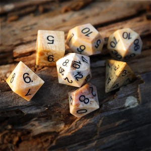 Coral Fossil 7-piece Dnd Dice Set for Tabletop Role-playing Games ...