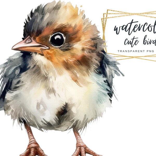 Spring Bird Clip Art - Etsy