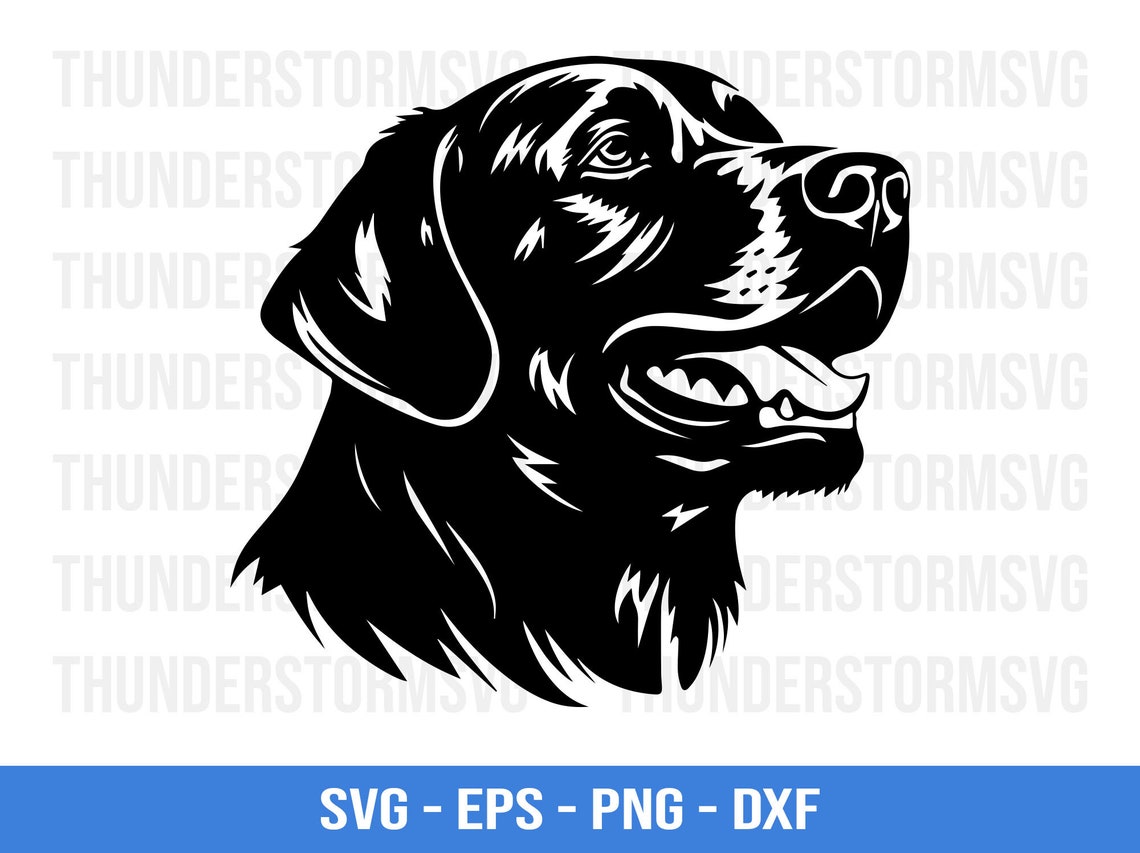 Retriever Labrador Svg Labrador SVG for Machine Cut With Cricut and ...