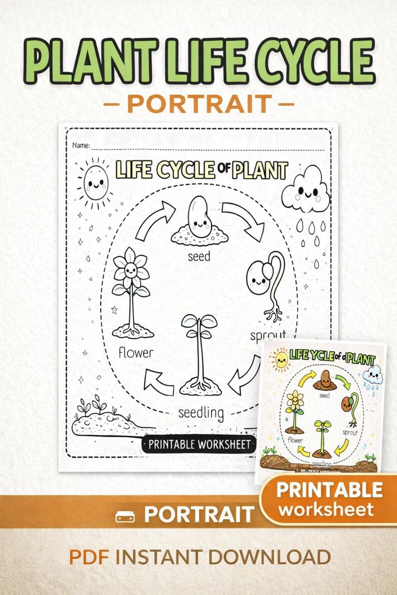 Plant Life Cycle | Spring | Printable - Etsy Canada
