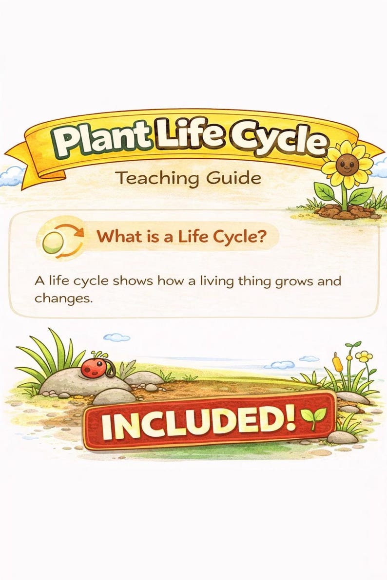Plant Life Cycle | Spring | Printable - Etsy