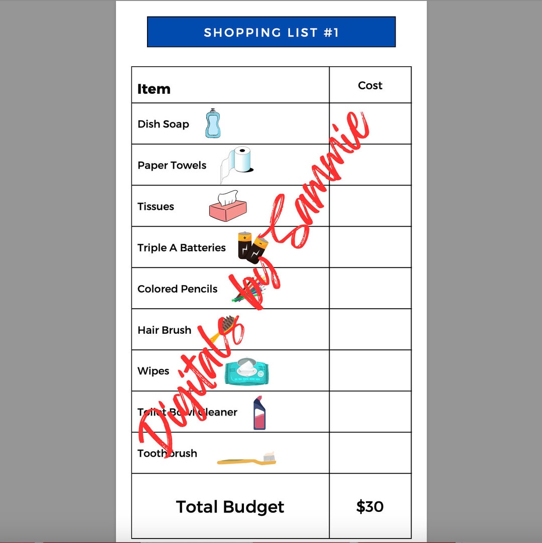 Practice Shopping/budgeting List - Etsy
