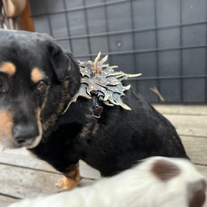 Leather Doggy Armor With Real Antler - Etsy