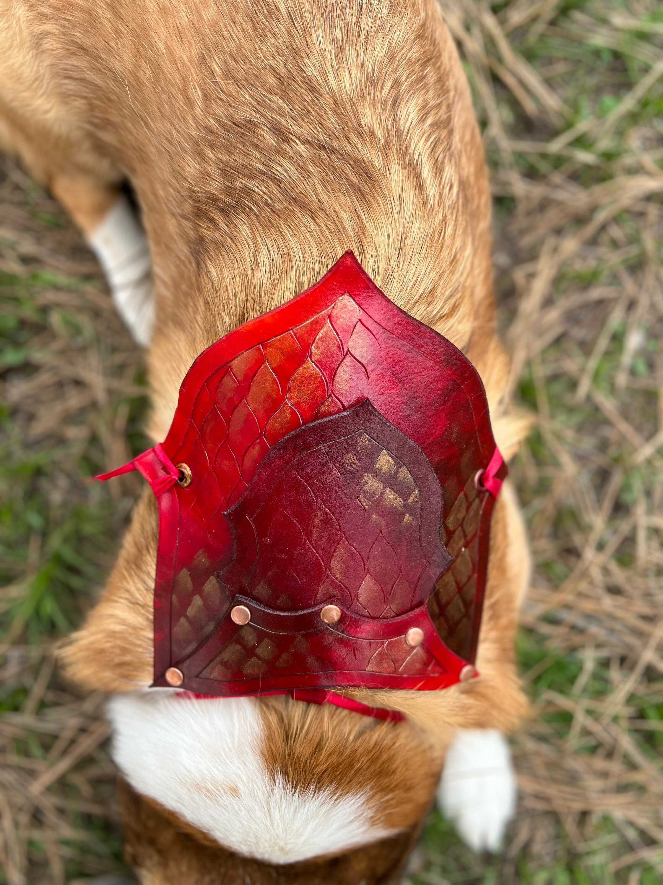Leather Doggy Armor Red Dragon - Etsy