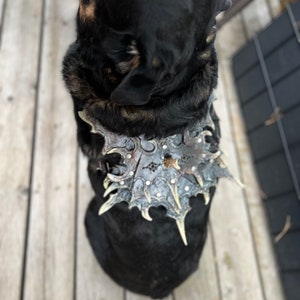 Leather Doggy Armor With Real Antler - Etsy