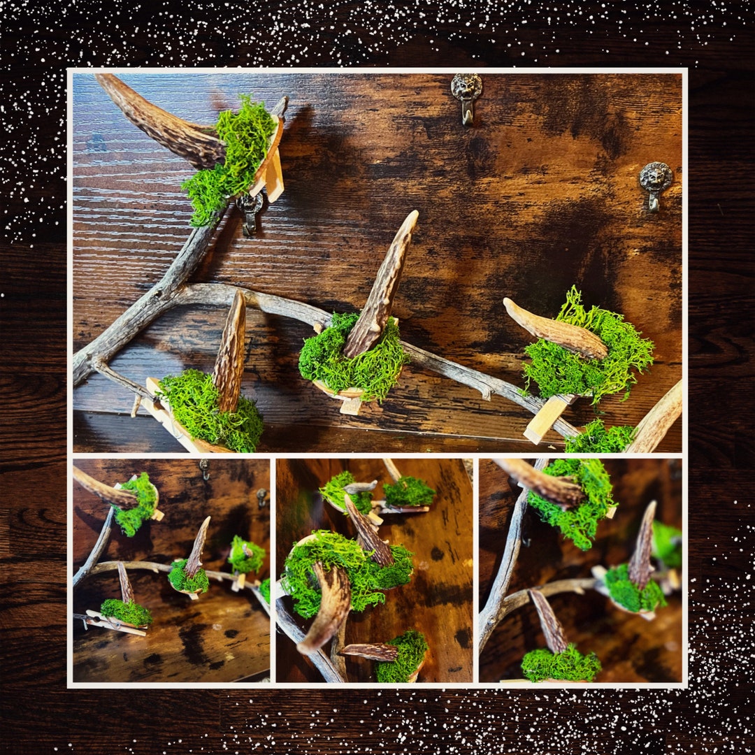 SET of 5 Mossy Antler Tree/garland Clips - Etsy