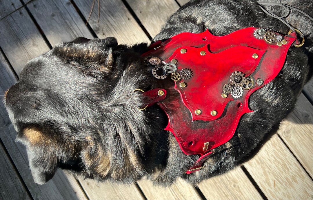 Red Steampunk Doggy Armor Extra Large Dog - Etsy