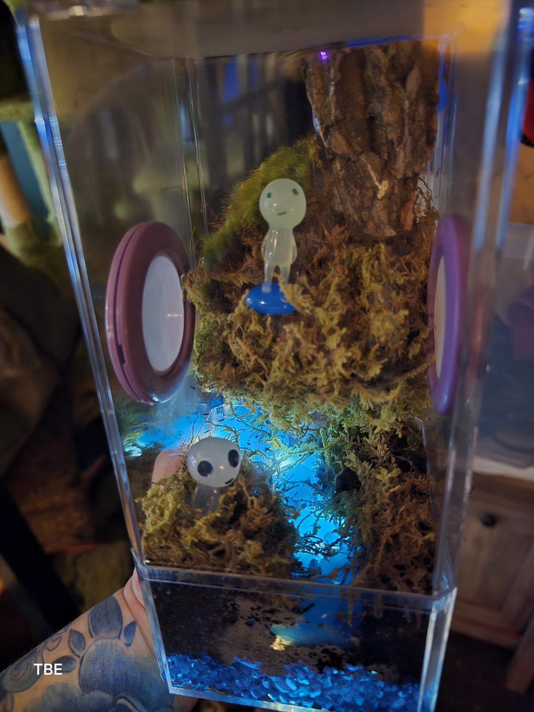 Light up AND Glow in the Dark Bioactive Jumping Spider Enclosure Large ...