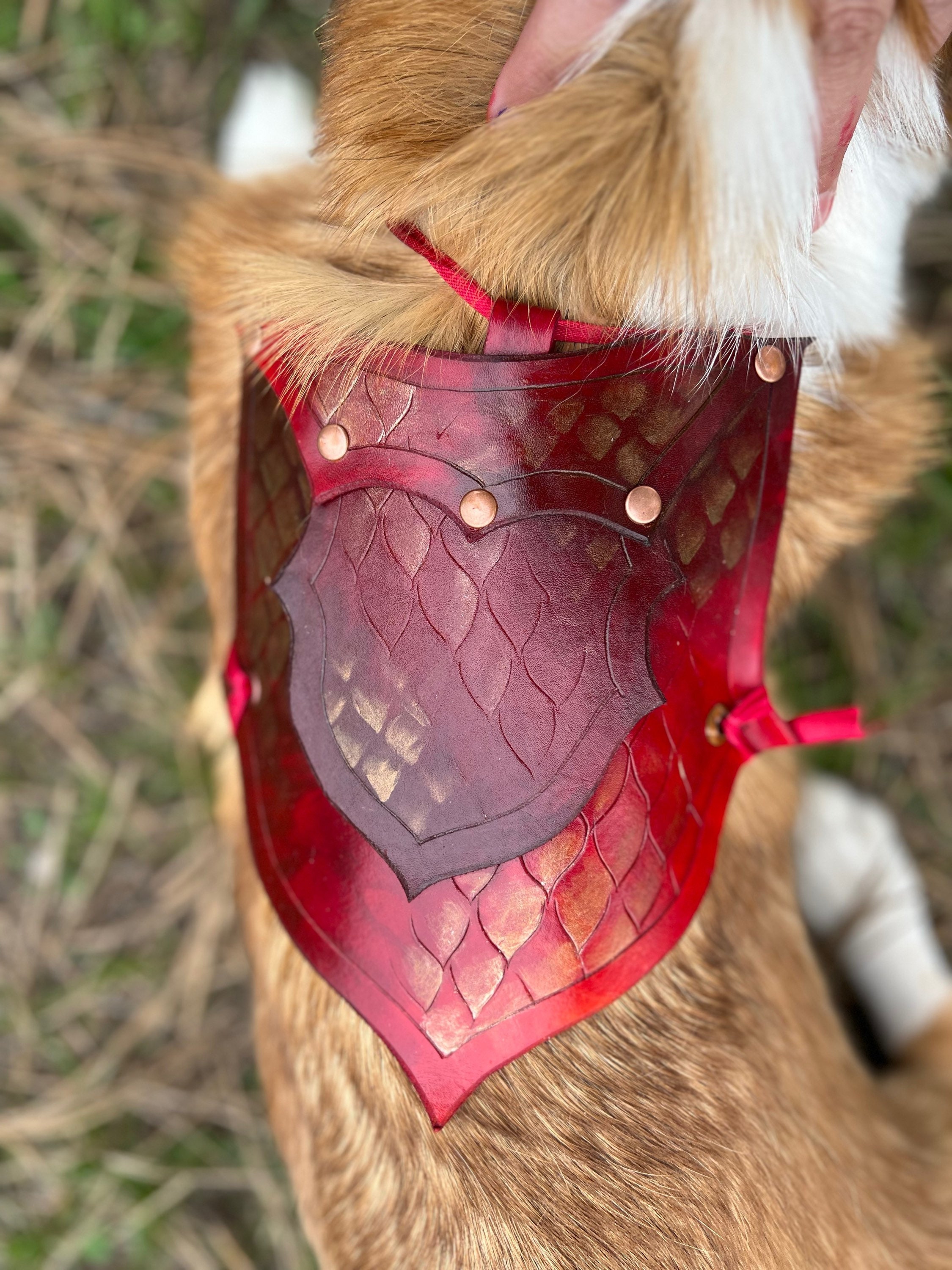Leather Doggy Armor Red Dragon - Etsy