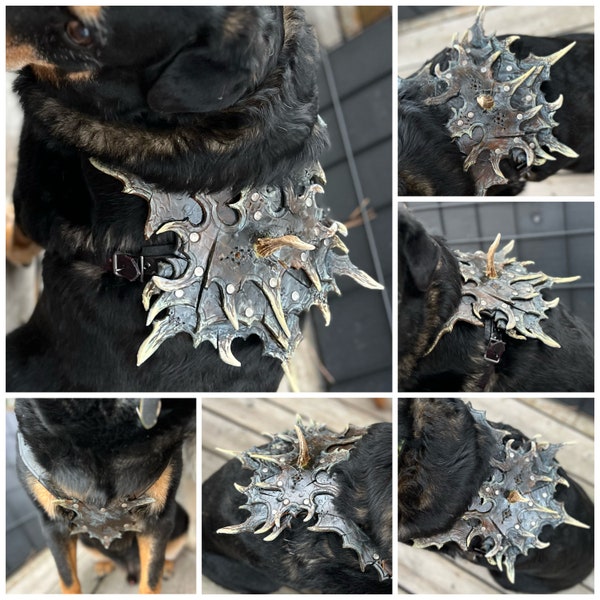 Leather Cat Armor - Etsy