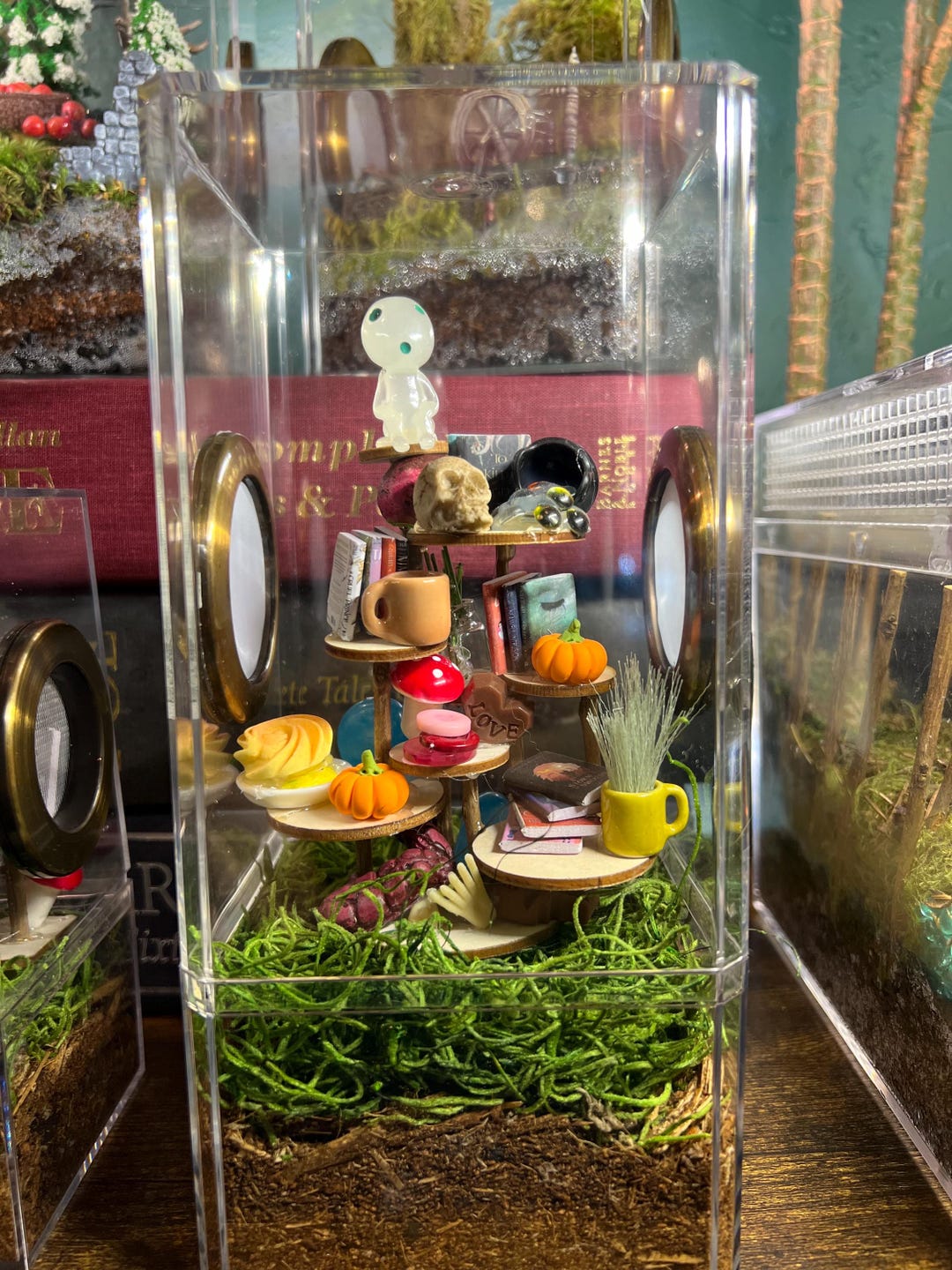 Large Bioactive Jumping Spider Enclosure 1 - Etsy