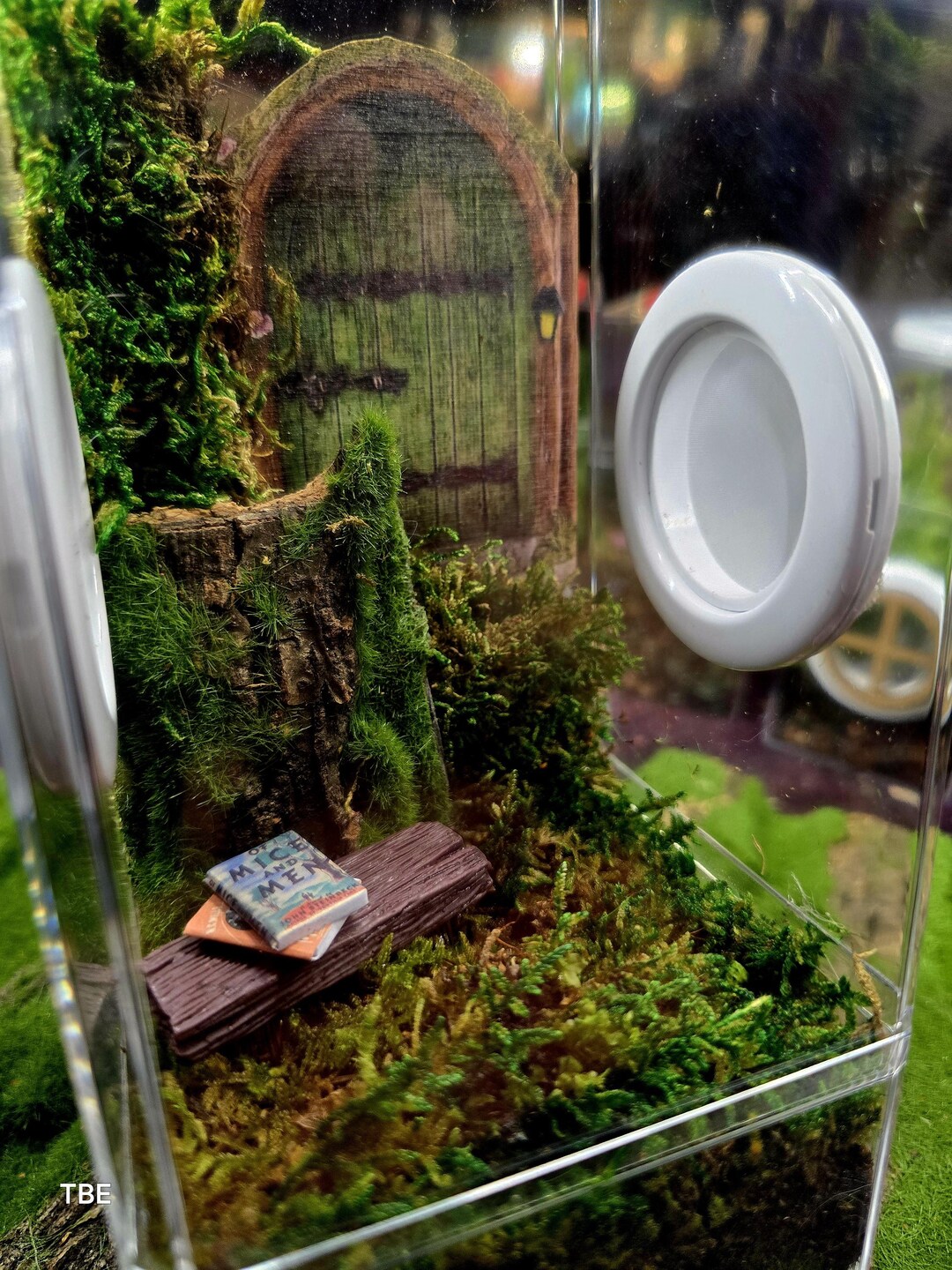 Large Green Fairy House Bioactive Jumping Spider Enclosure - Etsy